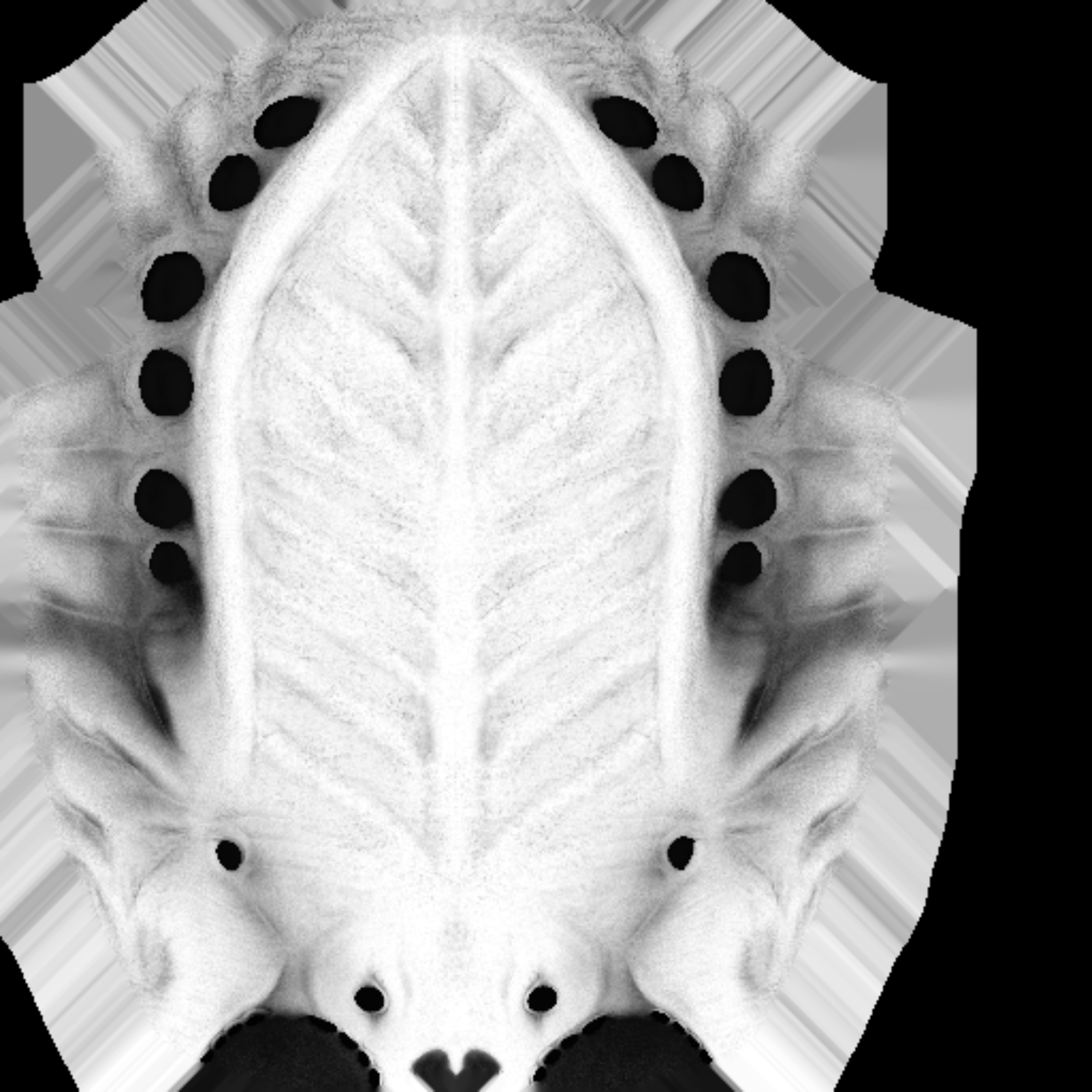 Predator creature 3D model rigged | CGTrader