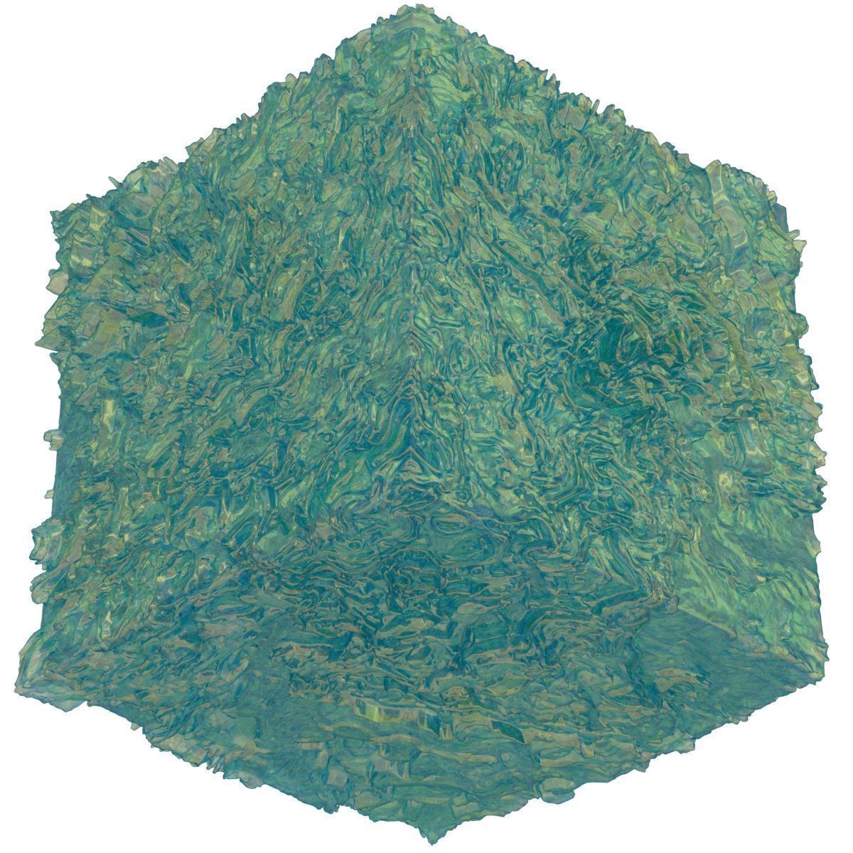 Gnarly 3D model | CGTrader