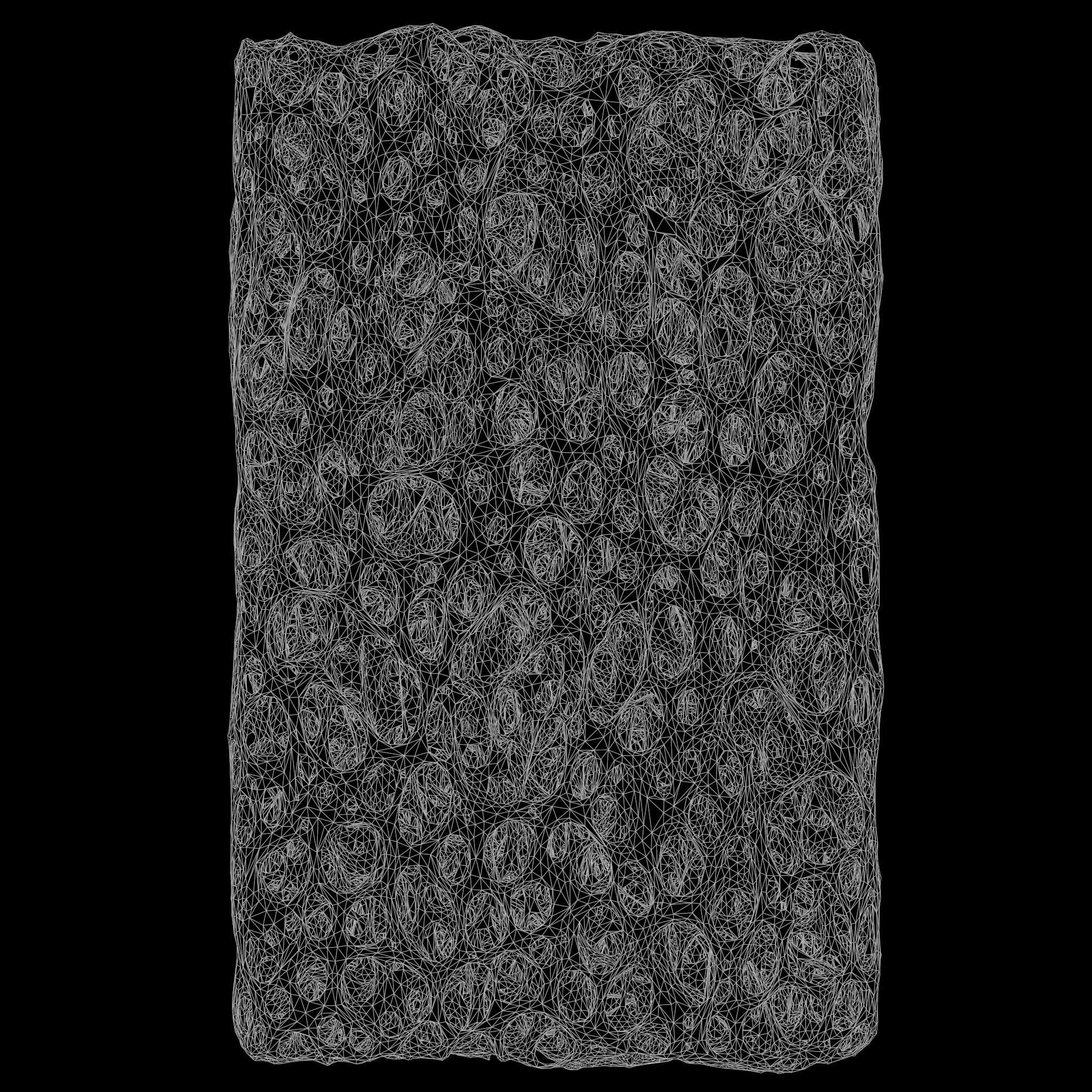 Bone Structure 3D model | CGTrader