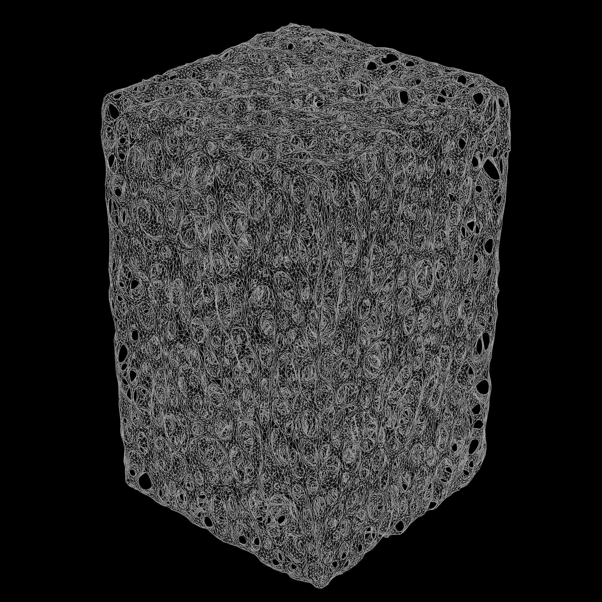 Bone Structure 3D model | CGTrader