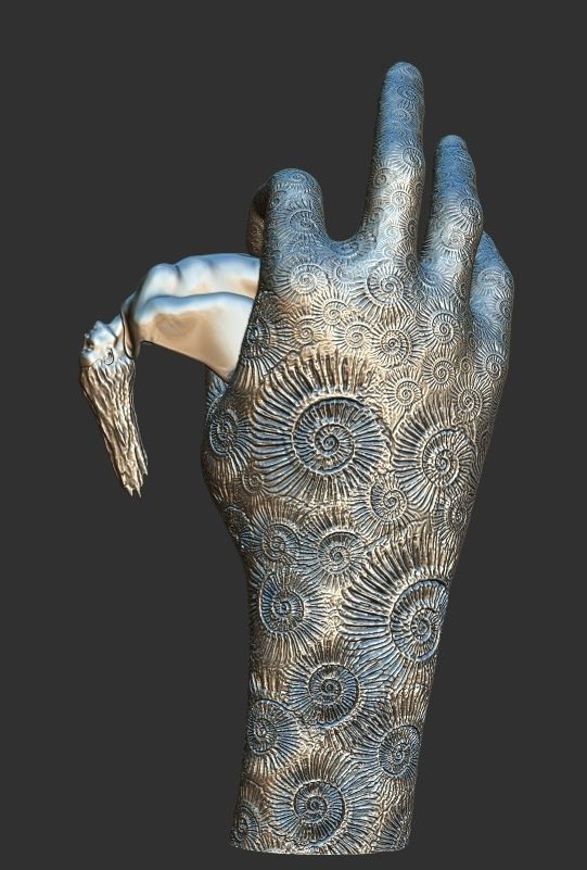 Ammonite Extraction 3D model 3D printable | CGTrader