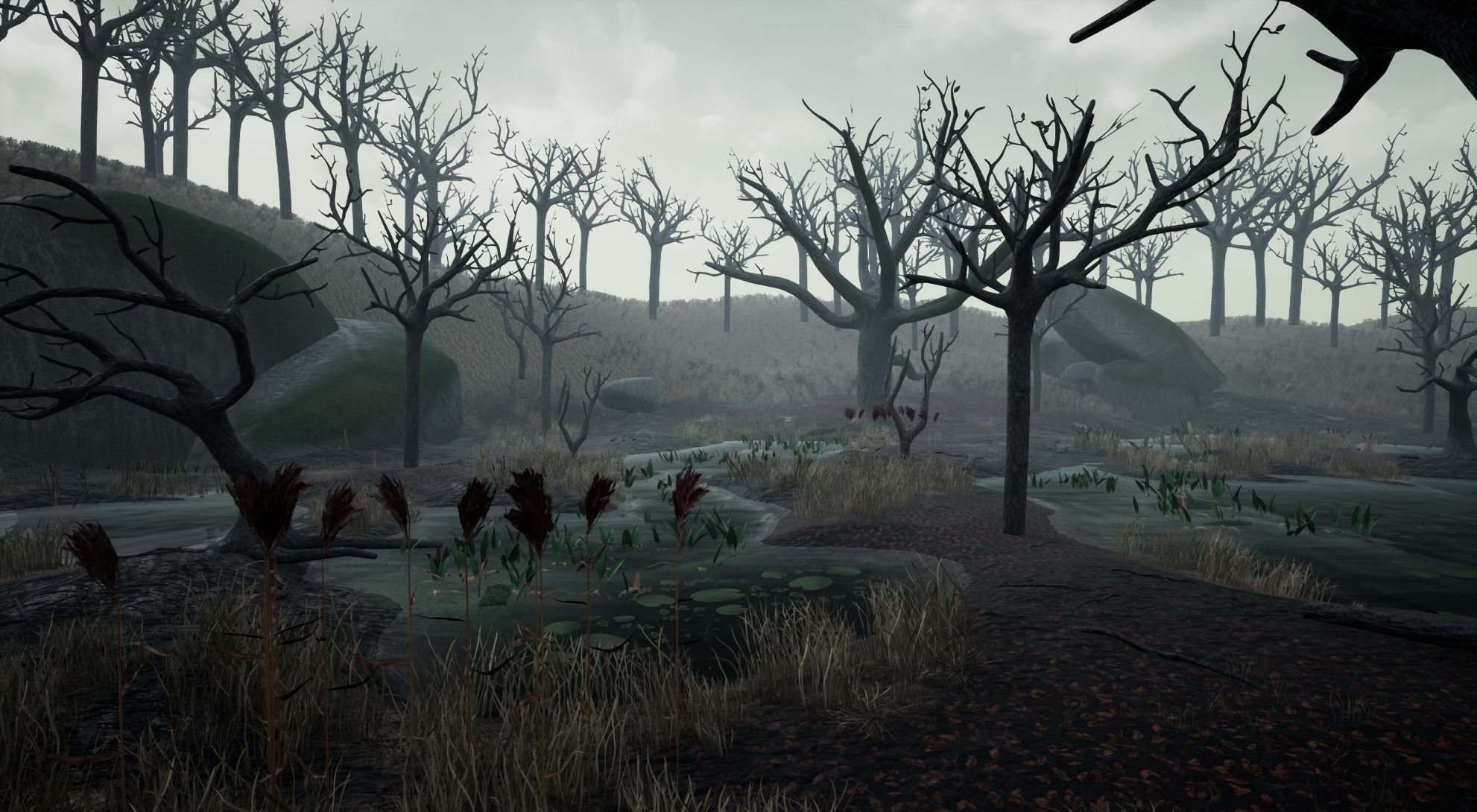 3D model Artsate - Swamp Environment VR / AR / low-poly | CGTrader