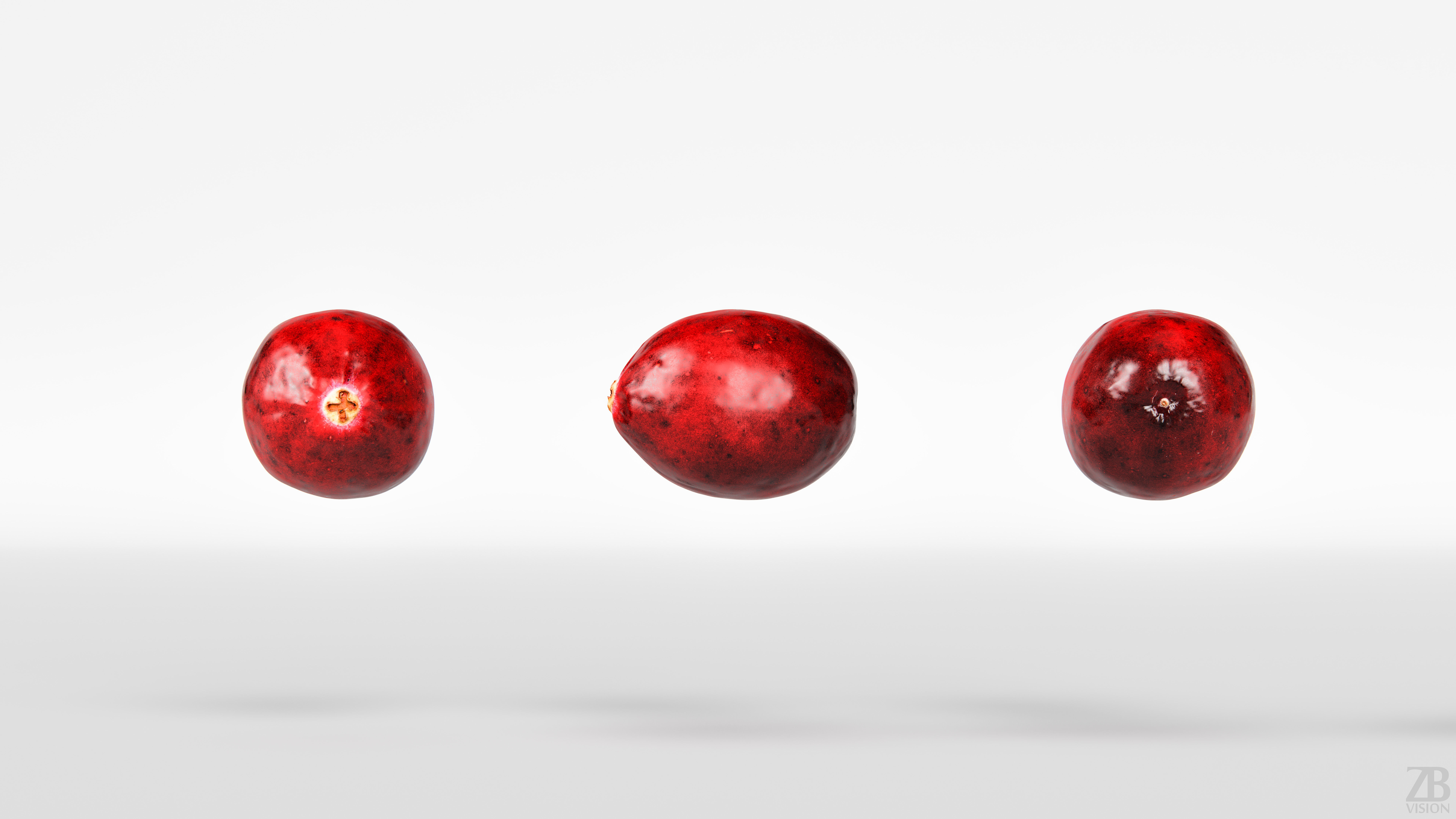 Cranberry 001 3D model | CGTrader