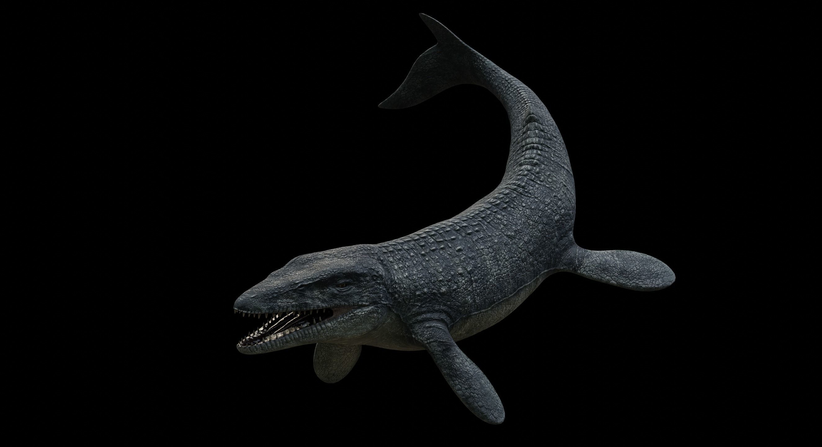 3D model Mosasaurus Mosasaur VR / AR / low-poly | CGTrader