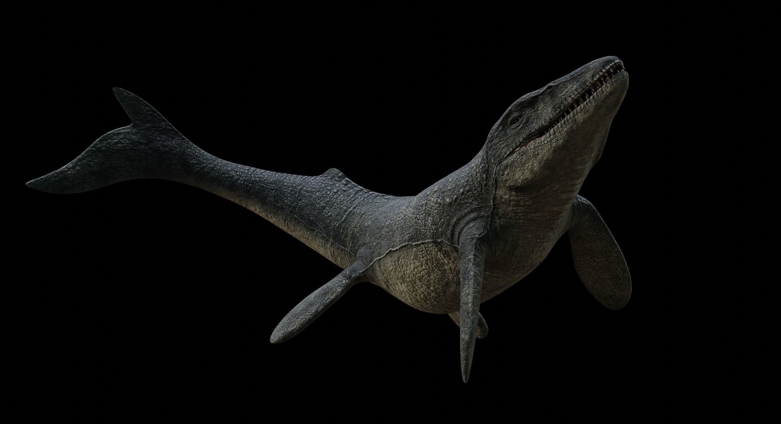 3D model Mosasaurus Mosasaur VR / AR / low-poly | CGTrader