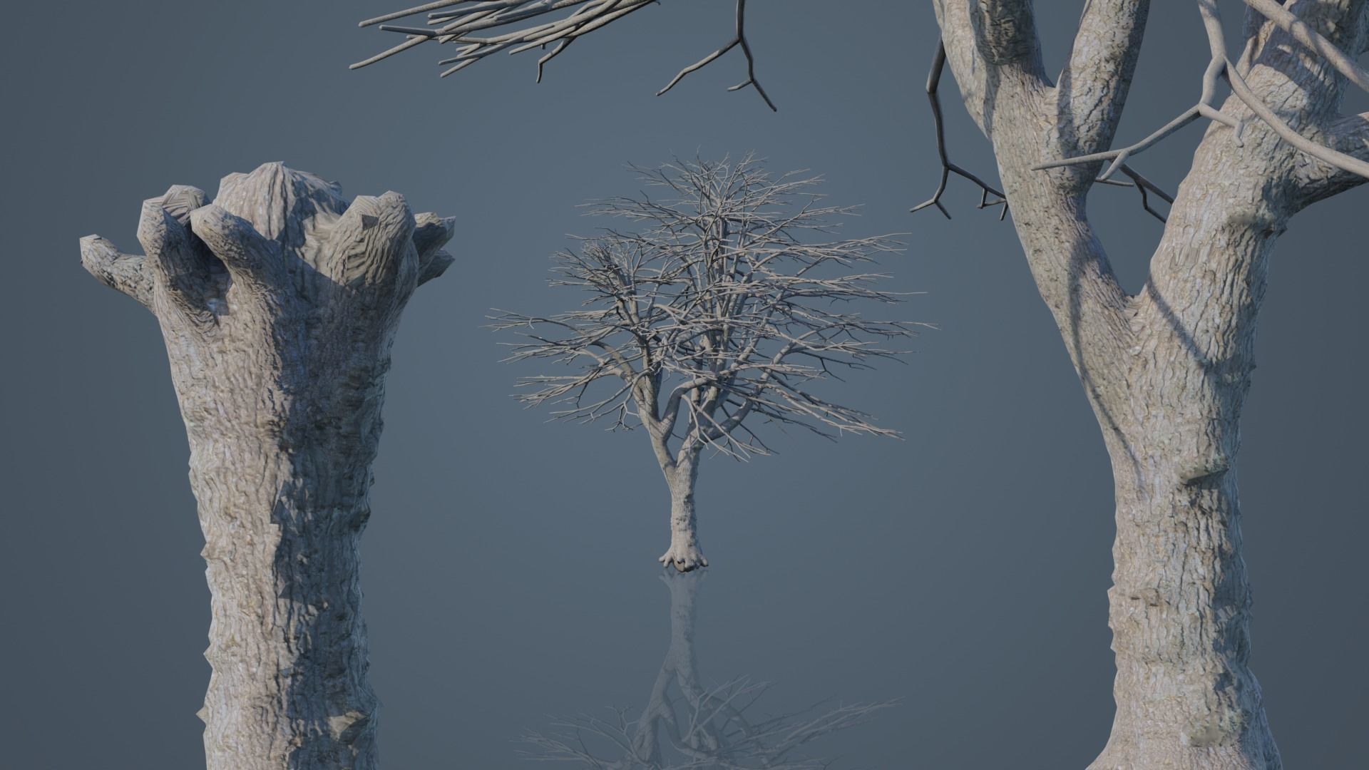 Large Dead Trees 3D model | CGTrader