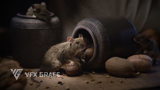 Rat Mouse Animated VFX Grace 3D model animated rigged | CGTrader