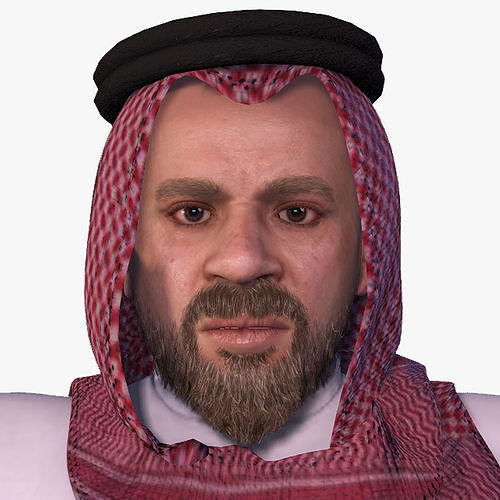 High quality character full Rigged and Animated 3D model animated ...