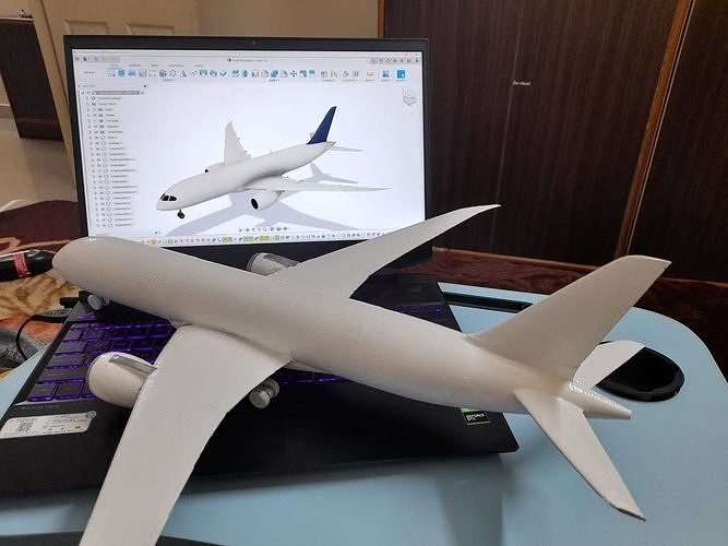 3D model Boeing 787-8 Dreamliner For 3D printing VR / AR / low-poly ...