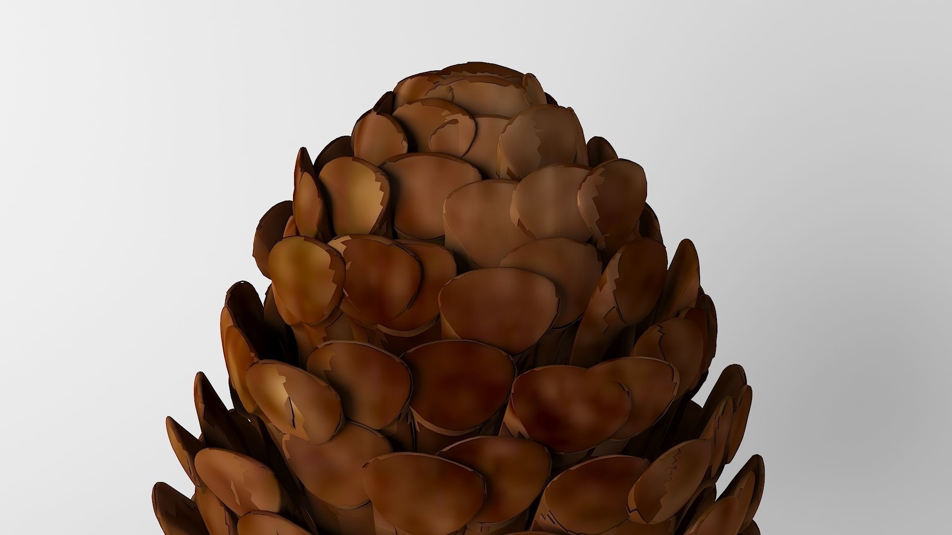 Pine cone 3D model | CGTrader