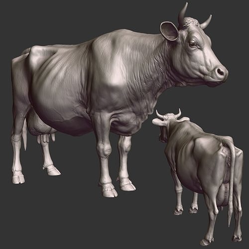 Cow Hi-poly 3D model | CGTrader