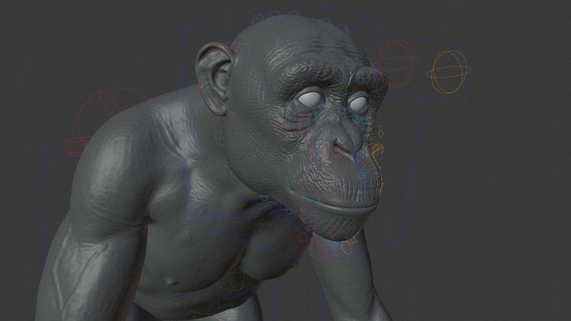 Chimpanzee Animated VFX Grace 3D model animated rigged | CGTrader