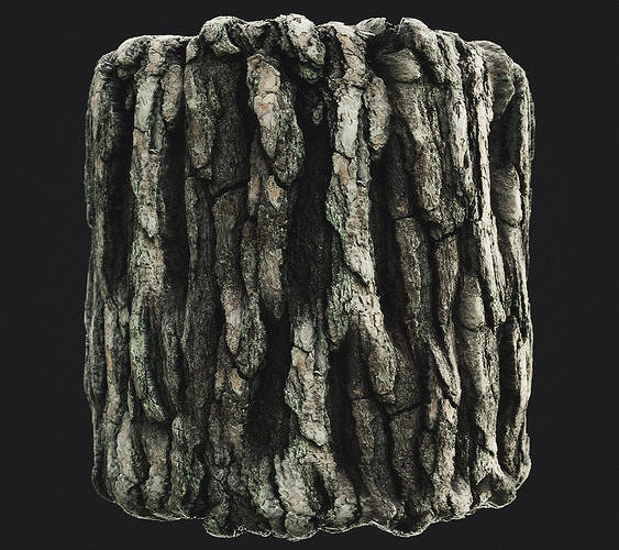 Pine Bark PBR Seamless Texture Texture | CGTrader