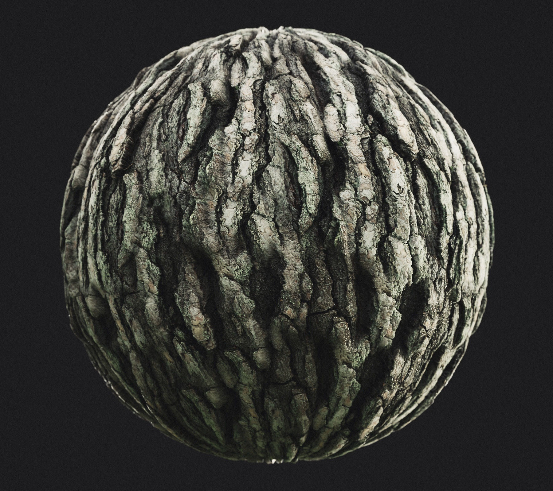 Pine Bark PBR Seamless Texture Texture | CGTrader