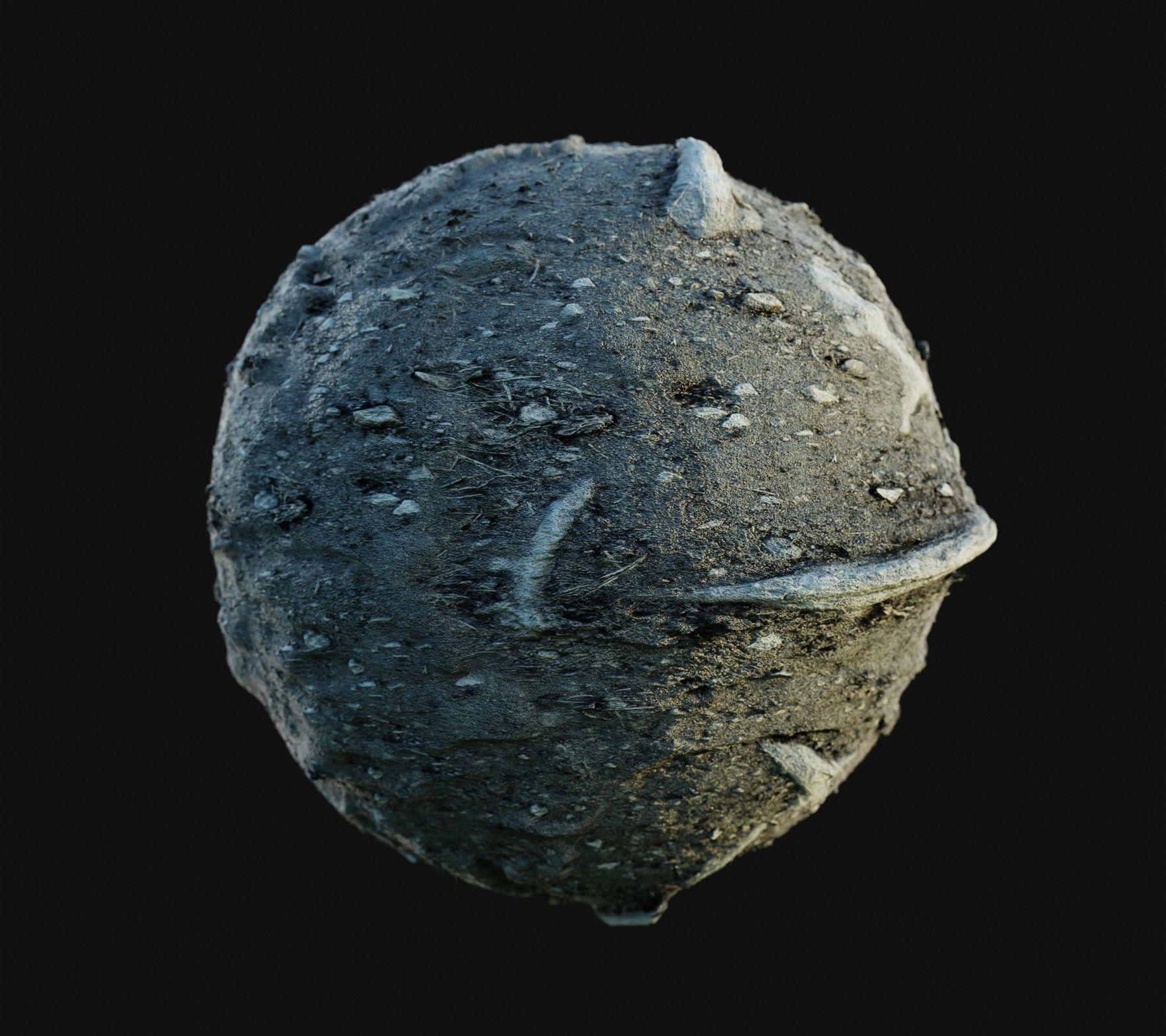 Roots in the Ground PBR Seamless Texture Texture | CGTrader