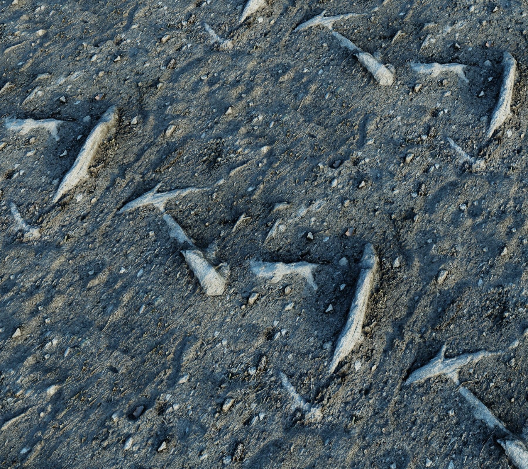 Roots in the Ground PBR Seamless Texture Texture | CGTrader