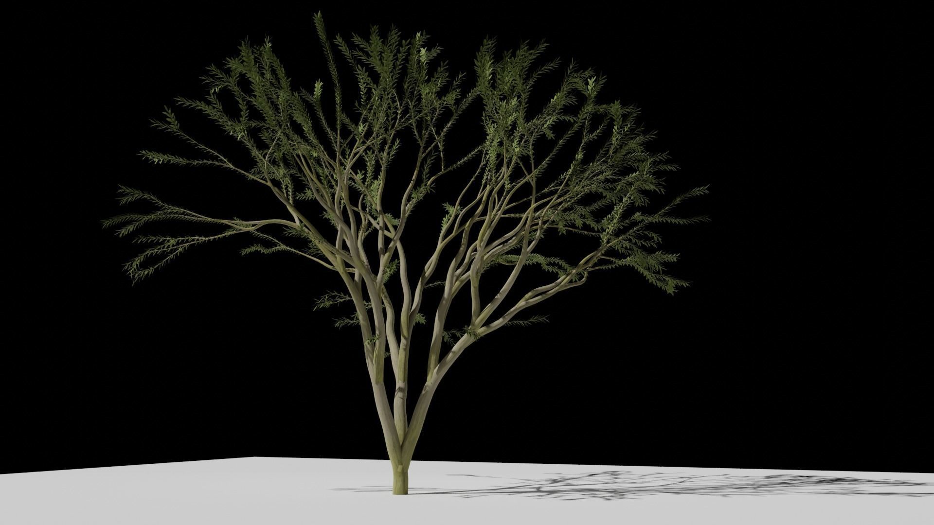 the animated tree free VR / AR / low-poly 3D model animated rigged ...