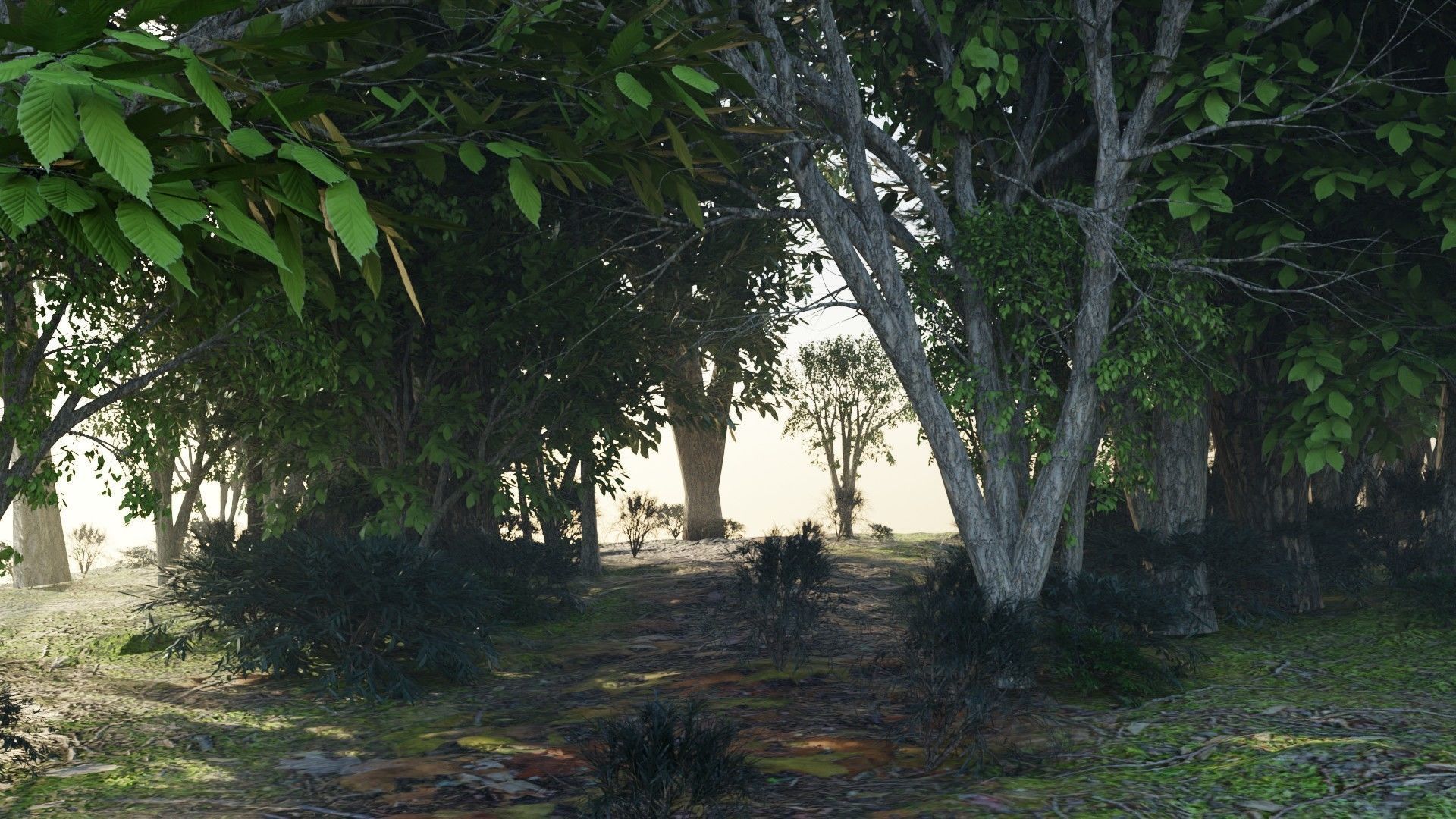 Forest 3D model | CGTrader