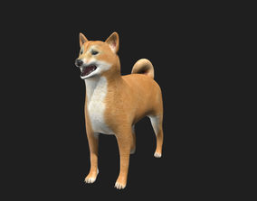 Shiba inu 3D Models | CGTrader