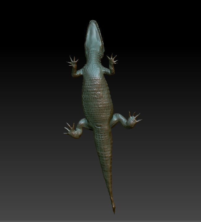 alligator 3D model 3D printable | CGTrader