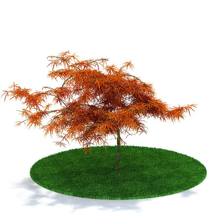 Colored Leafed Tree 3D model | CGTrader