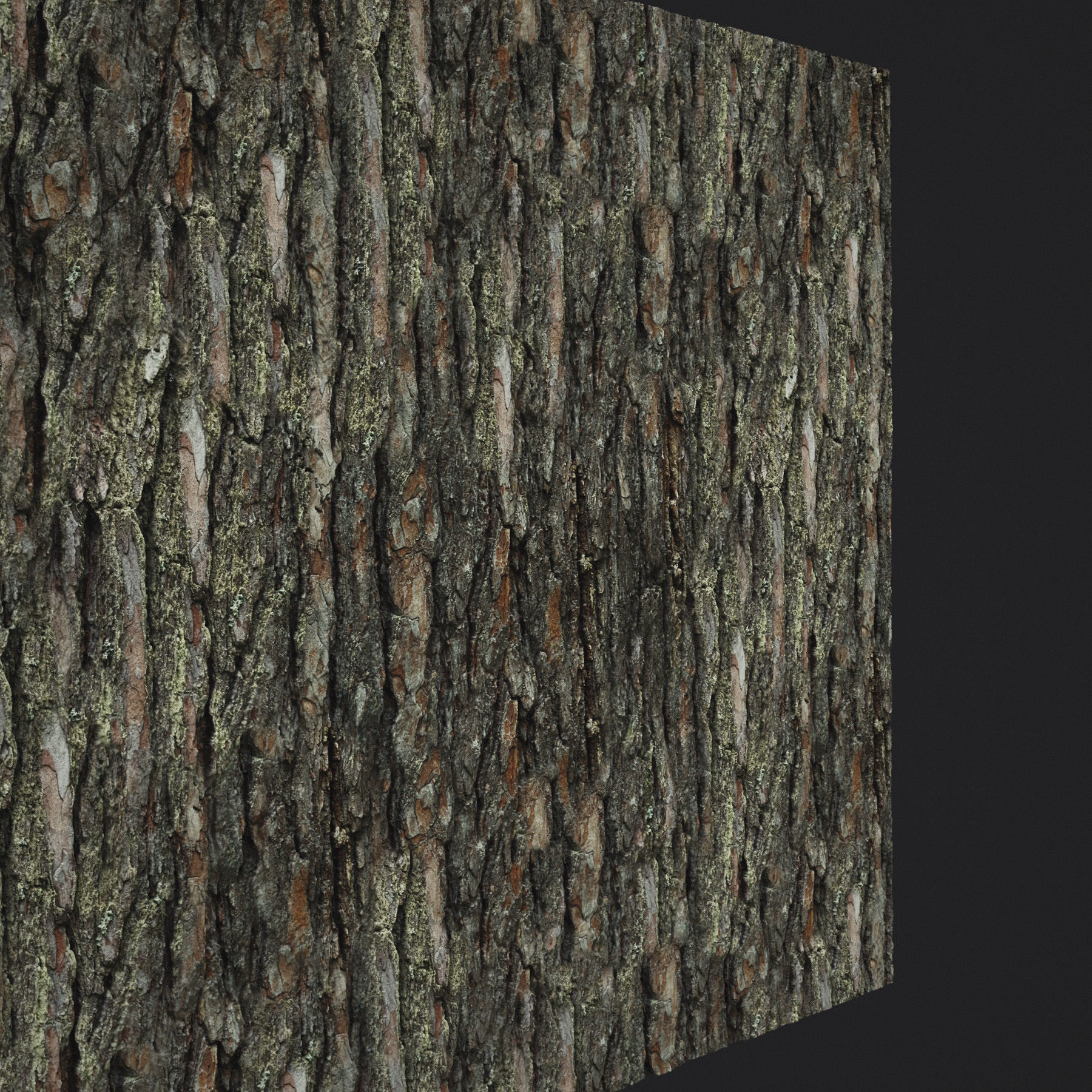 Pine Bark 2 PBR Seamless Texture Texture | CGTrader