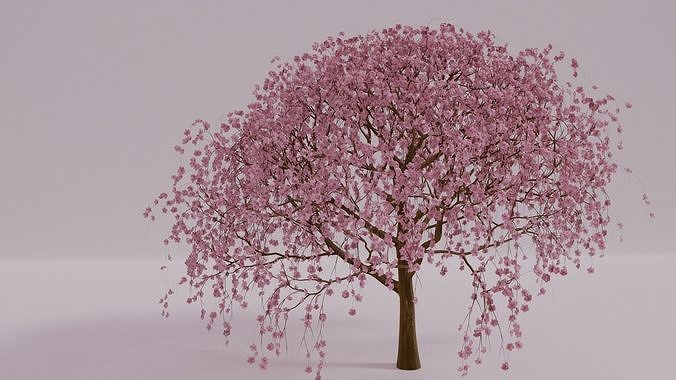 Beautiful Cherry Blossom Tree 3D Model 3D model | CGTrader