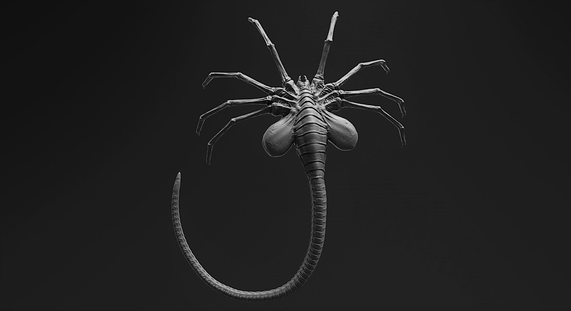 CRAWLERS - 33 Creeping Beasts Curve Brush and OBJs 3D model | CGTrader