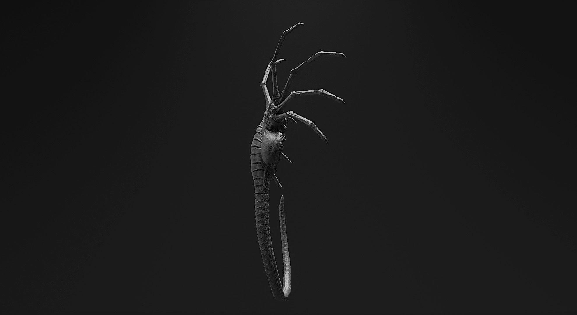 CRAWLERS - 33 Creeping Beasts Curve Brush and OBJs 3D model | CGTrader