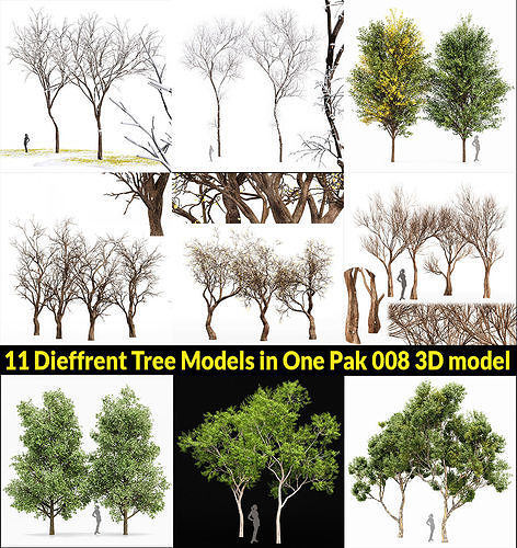 11 Dieffrent Tree Models in One Pak 008 3D model 3D model | CGTrader