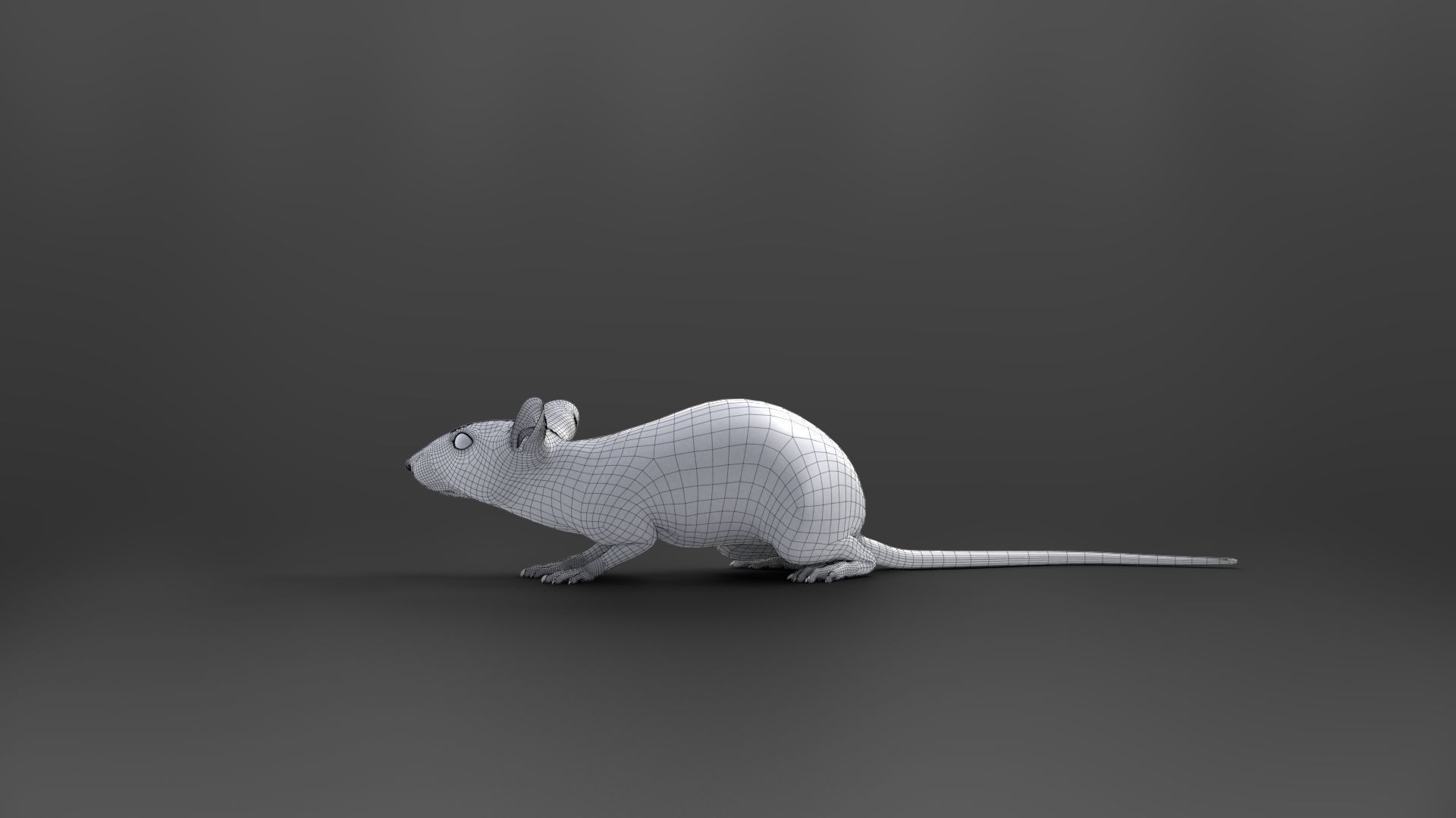 Rat Mouse Rigged VFX Grace 3D model rigged | CGTrader