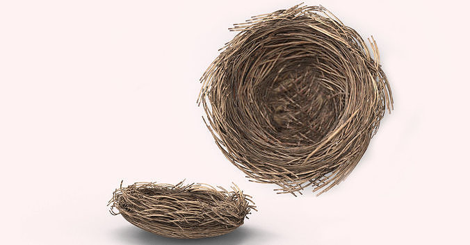 3D model Bird Nest 3D model VR / AR / low-poly | CGTrader