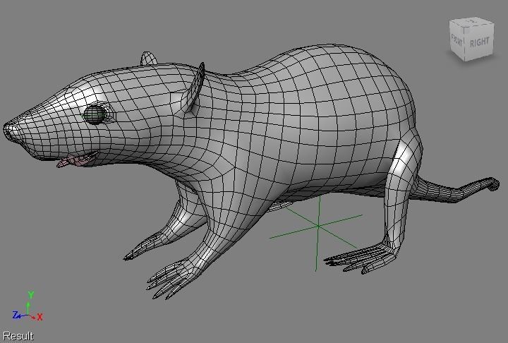 3D model RAT LOWPOLY VR / AR / low-poly | CGTrader