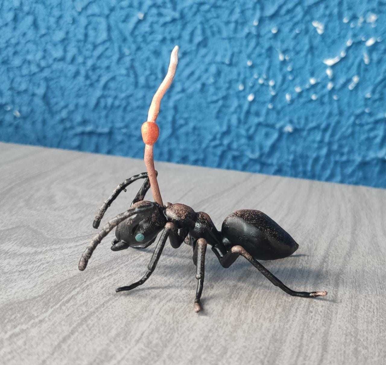 Ophiocordyceps Unilateralis 3d Model 3d Printable Cgtrader