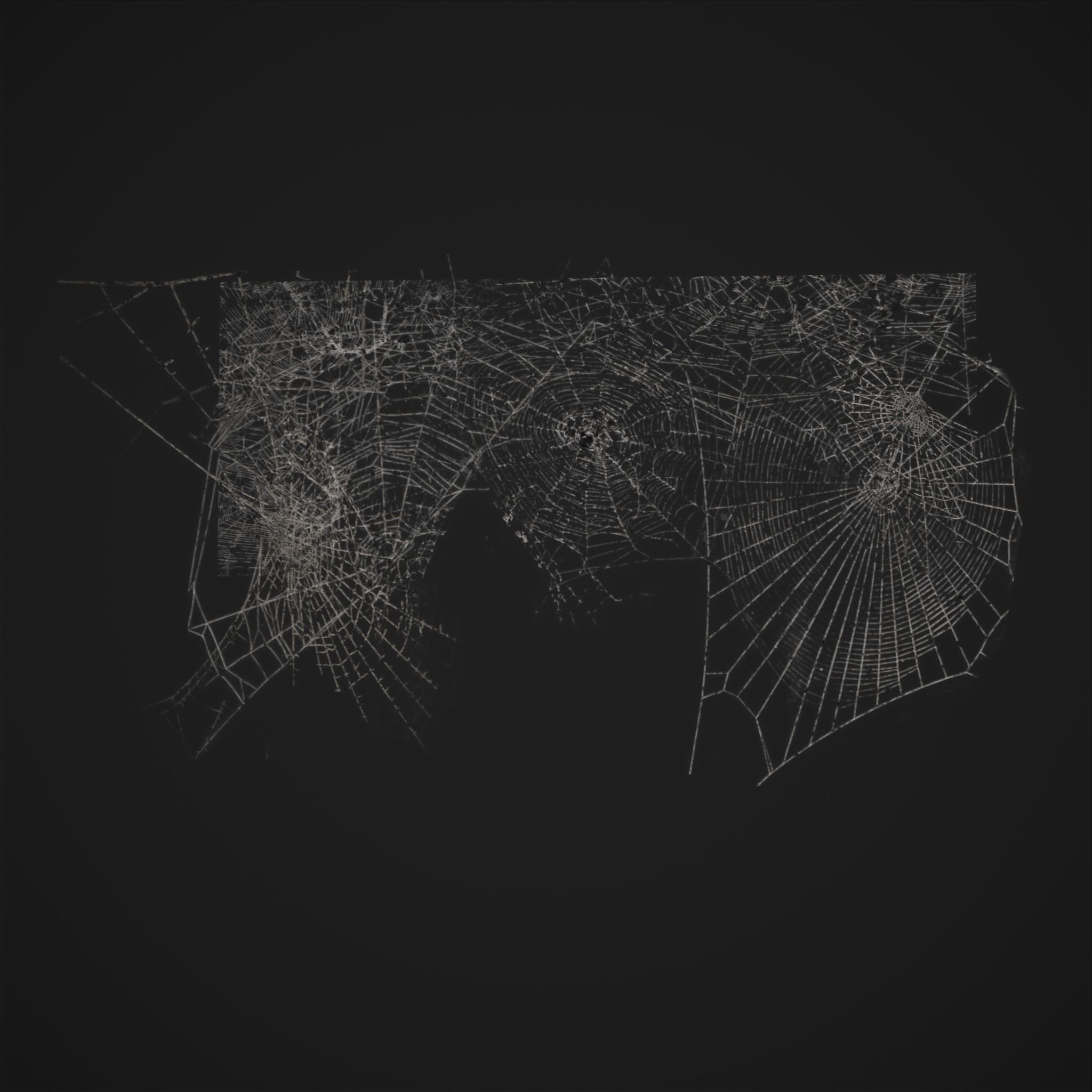 3D model Spider Webs VR / AR / low-poly | CGTrader