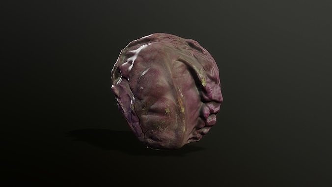 3D model 3D Scan Cabbage 03 VR / AR / low-poly | CGTrader