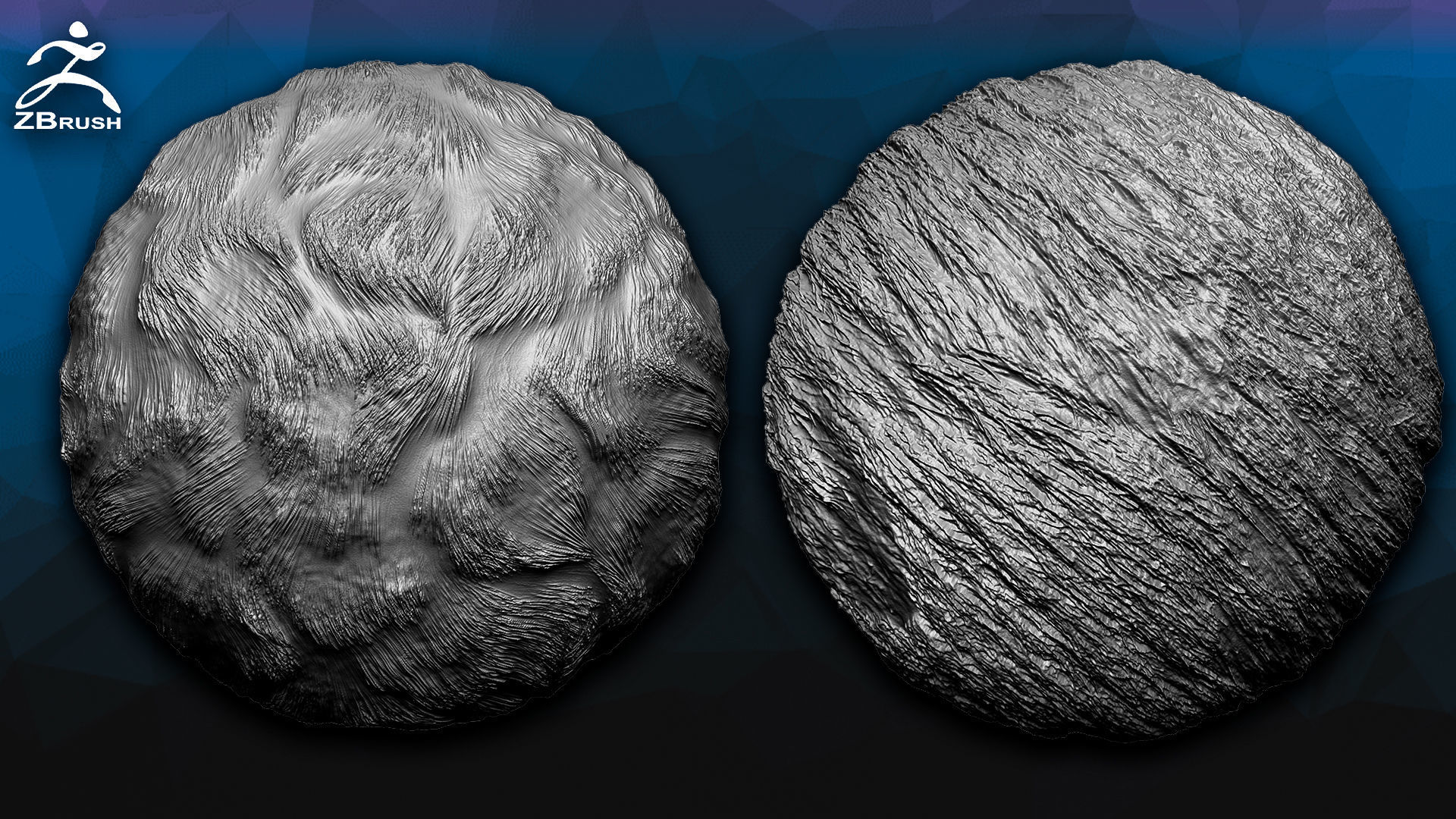 10 Fur Alphas for ZBrush 3D model | CGTrader