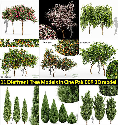 11 Dieffrent Tree Models in One Pak 009 3D model 3D model | CGTrader