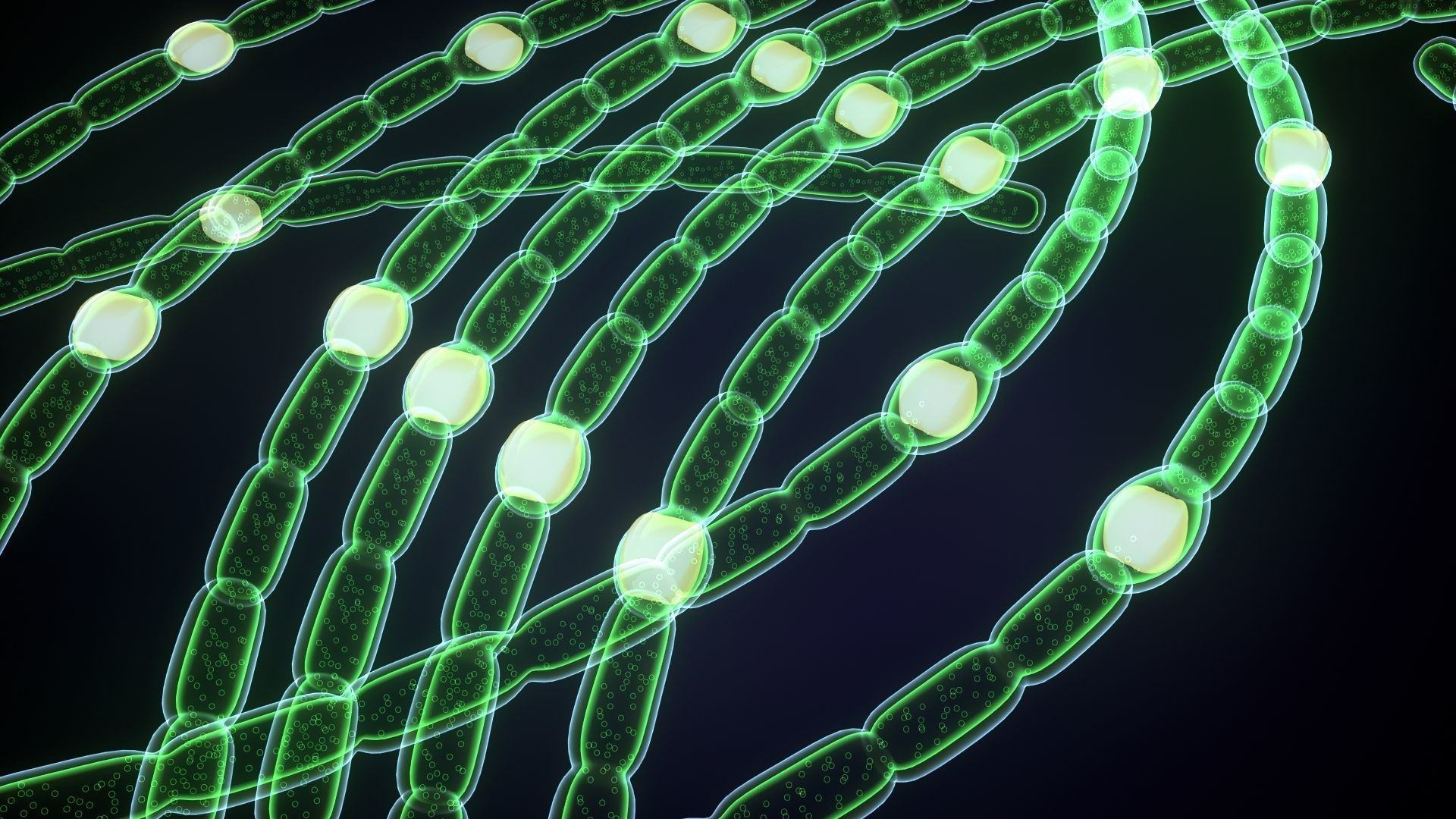 filamentous cell membrane with lights 3D model | CGTrader