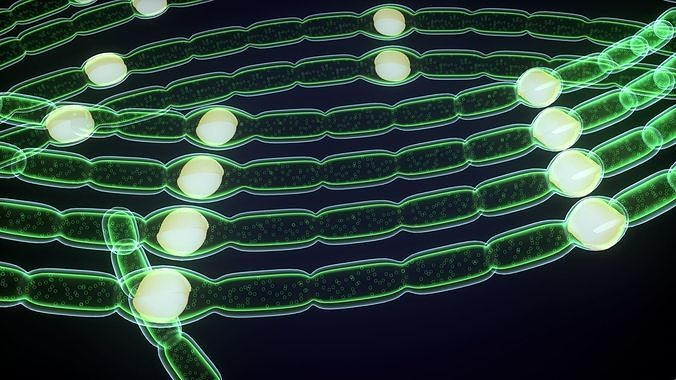 filamentous cell membrane with lights 3D model | CGTrader