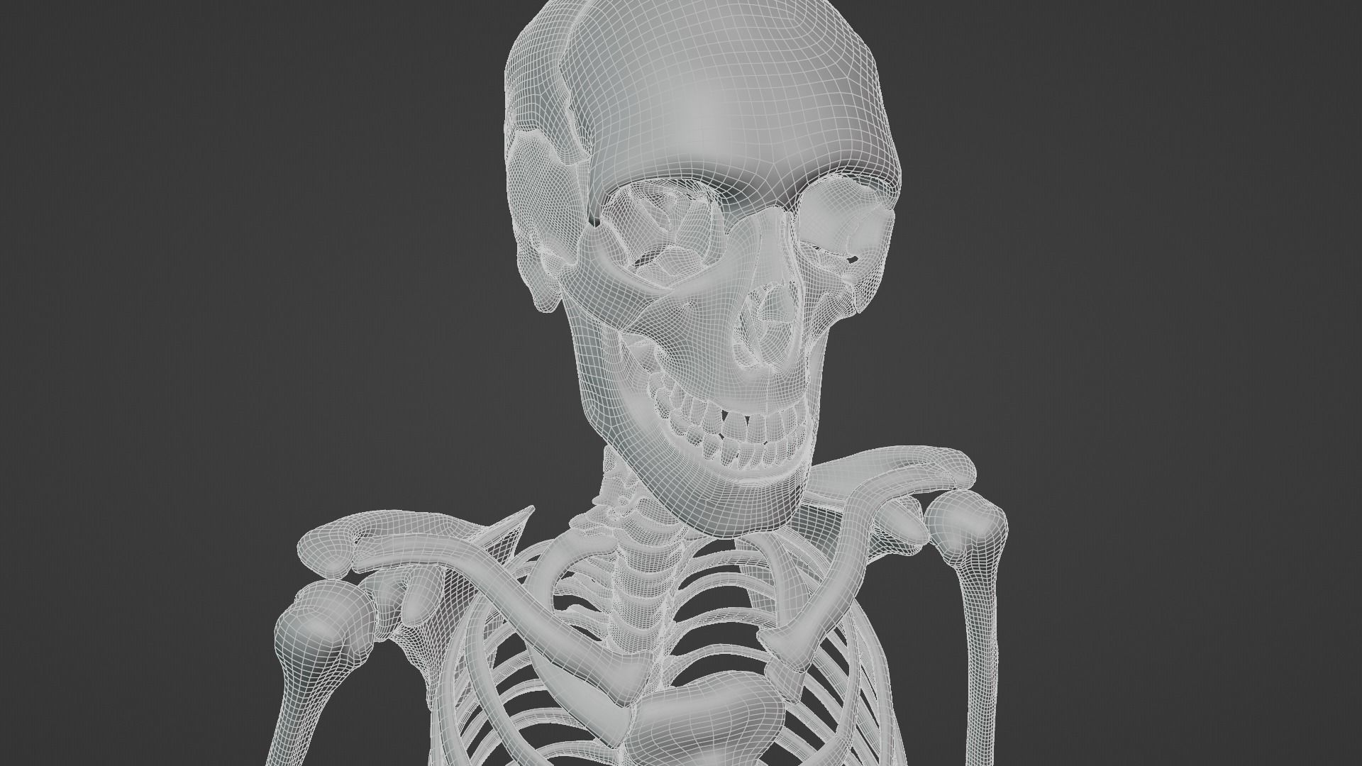 3D model Ultimate 3D Human Skeleton Model - Medically Accurate 3d Model ...