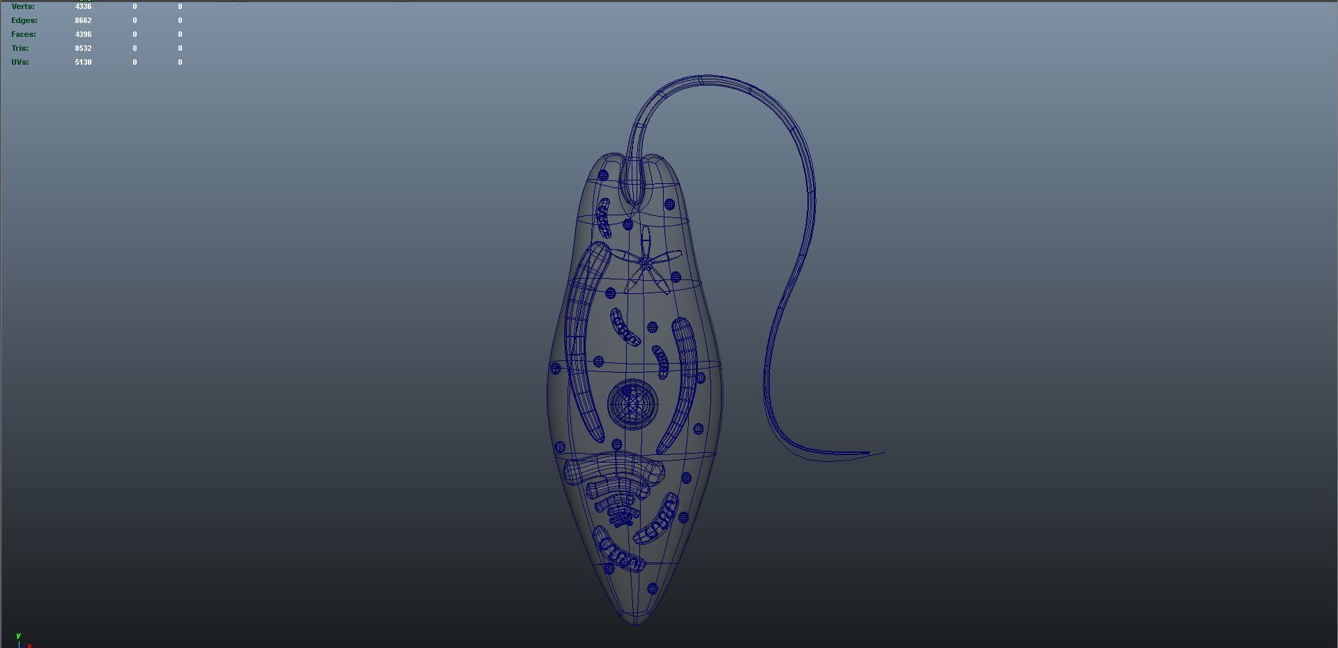 euglena 3D model | CGTrader