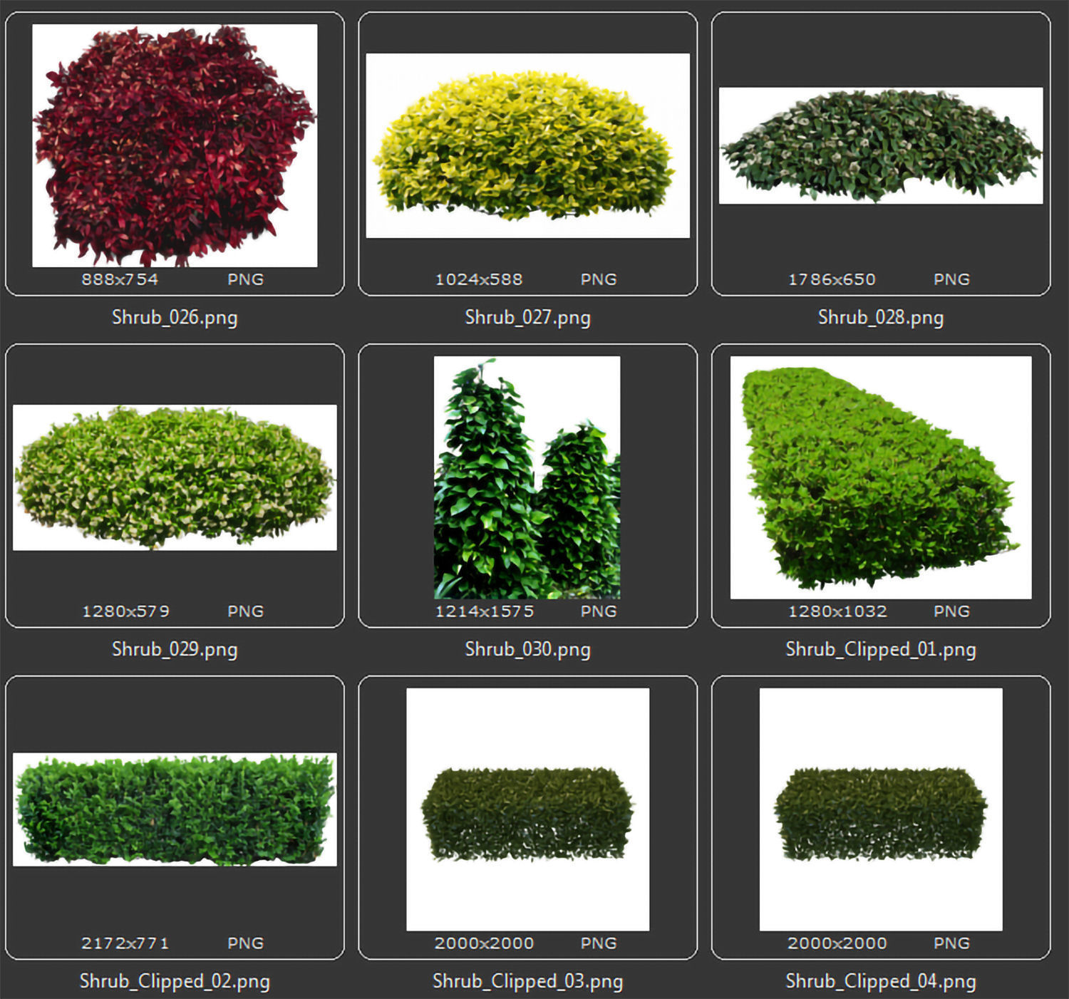 Texture Set of textures bushes PNG VR / AR / low-poly | CGTrader