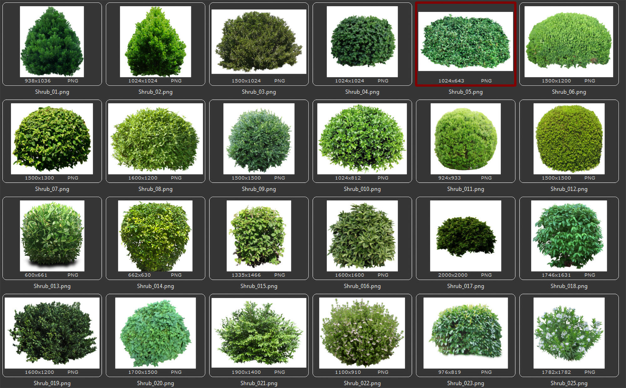 Texture Set of textures bushes PNG VR / AR / low-poly | CGTrader