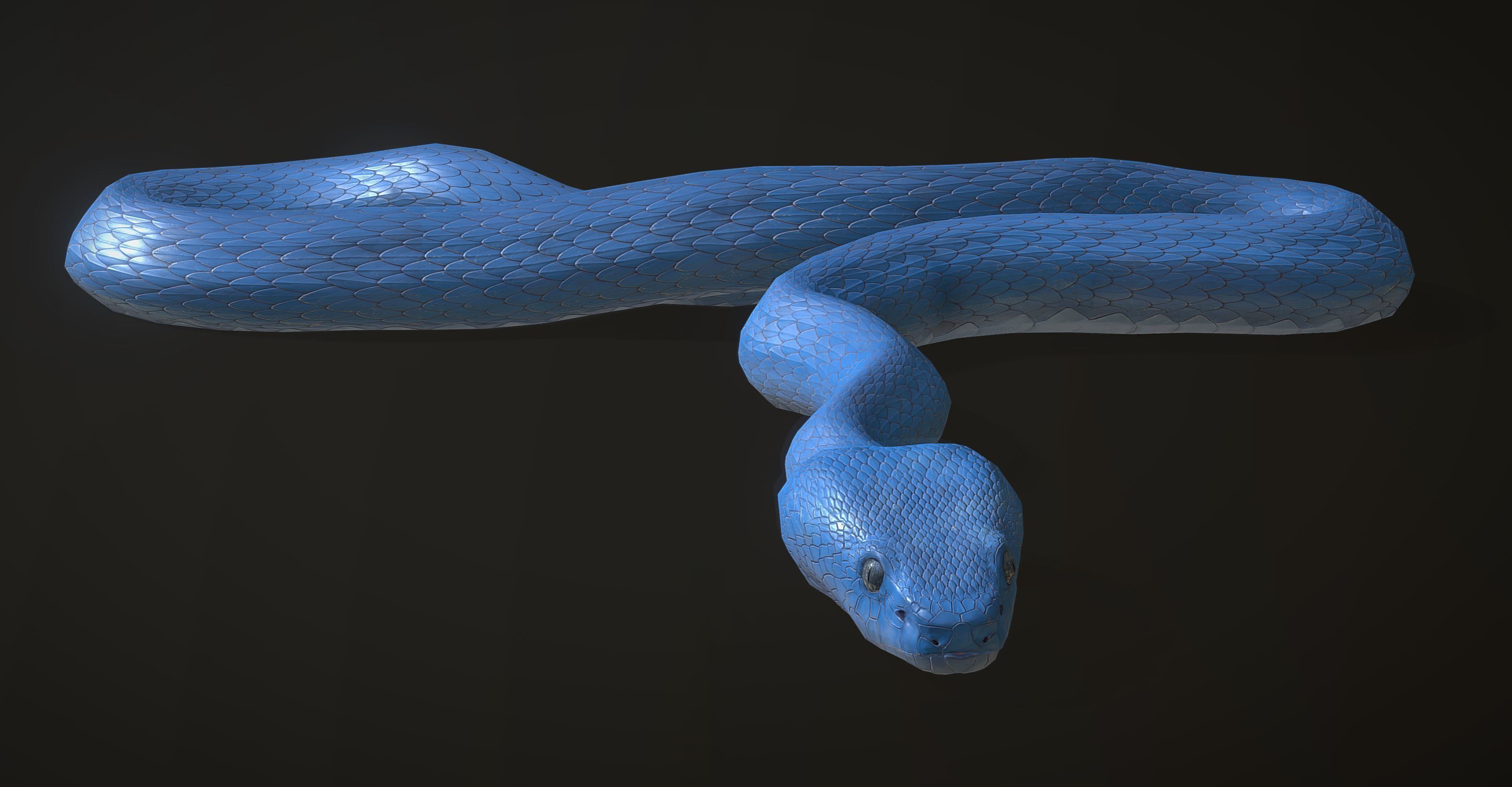 3D model Snake - Blue Viper with animations VR / AR / low-poly rigged ...