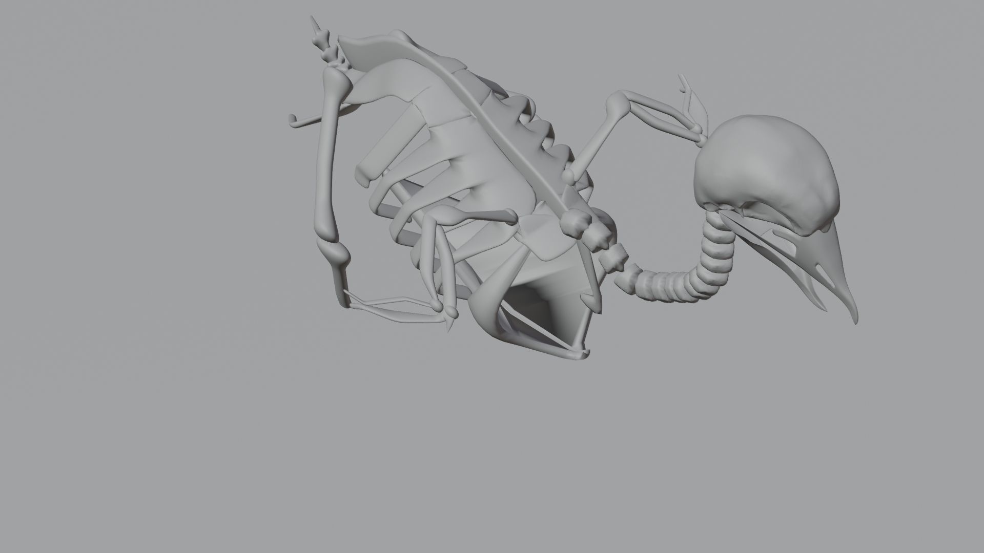 bird skeleton 3D model | CGTrader
