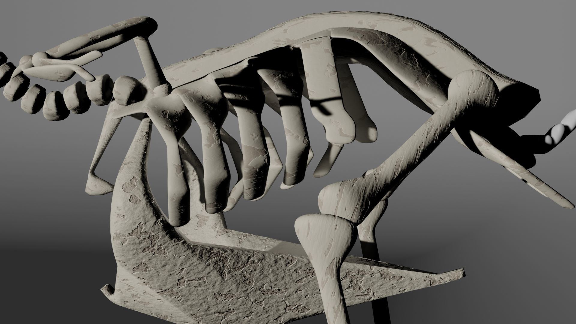 bird skeleton 3D model | CGTrader