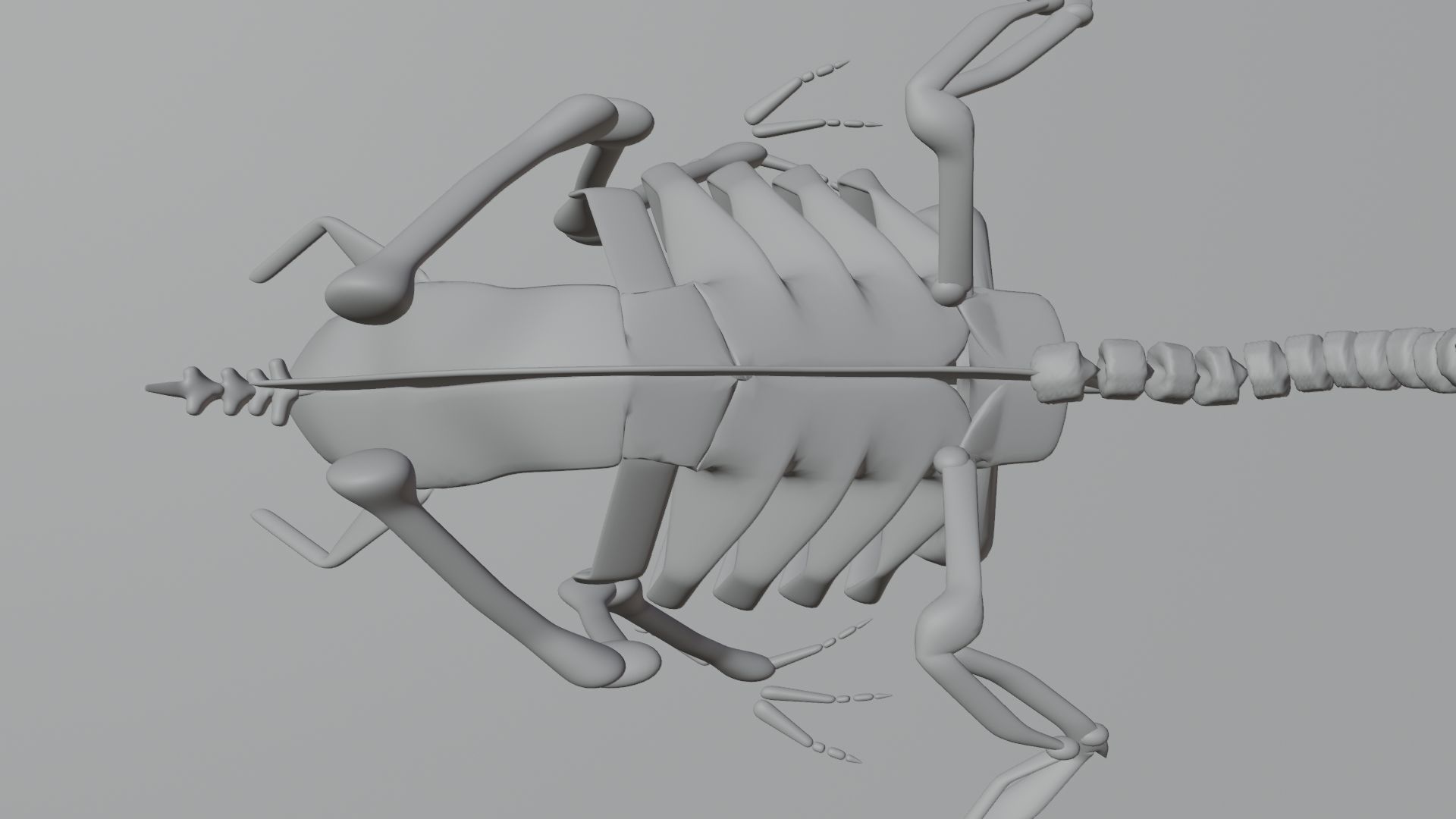 bird skeleton 3D model | CGTrader