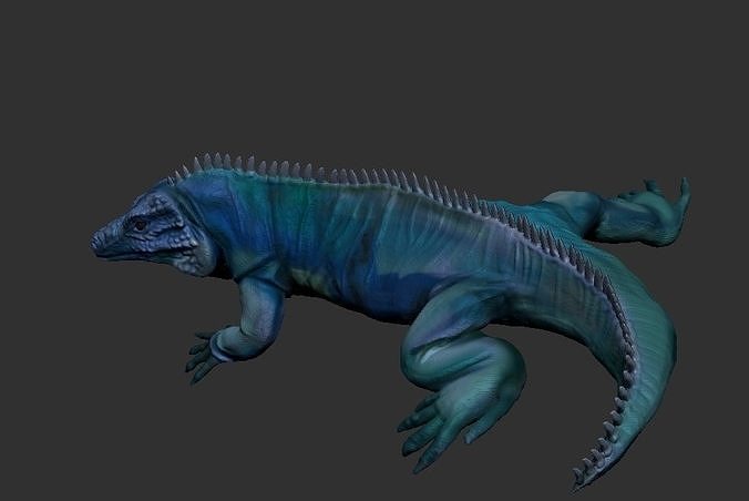 iguana 3D model | CGTrader