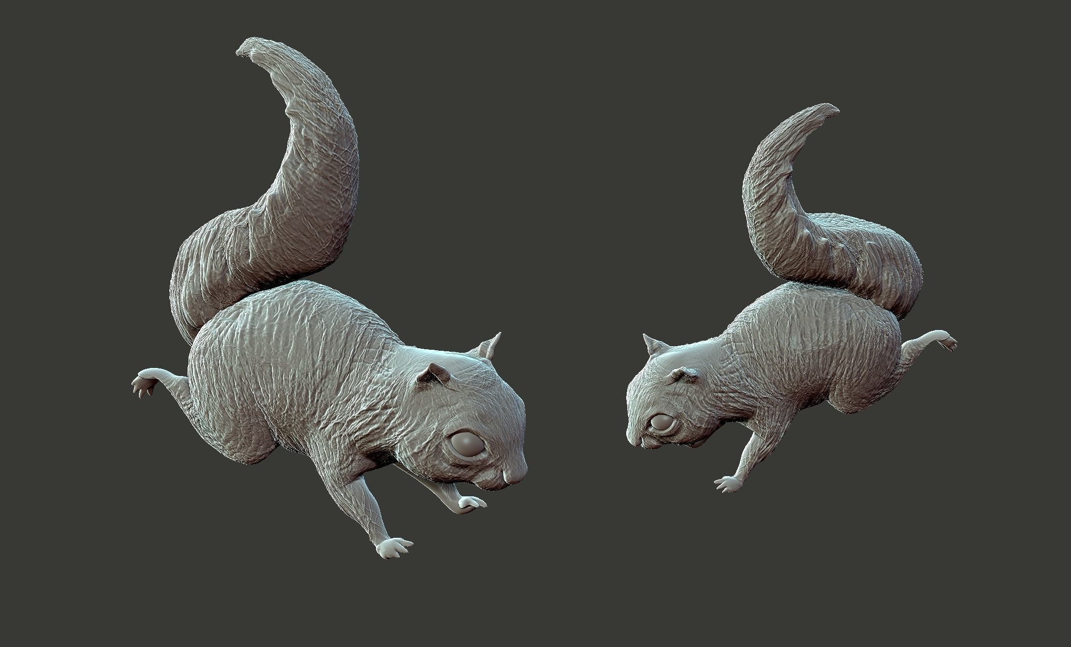 squirrel 3D model 3D printable | CGTrader
